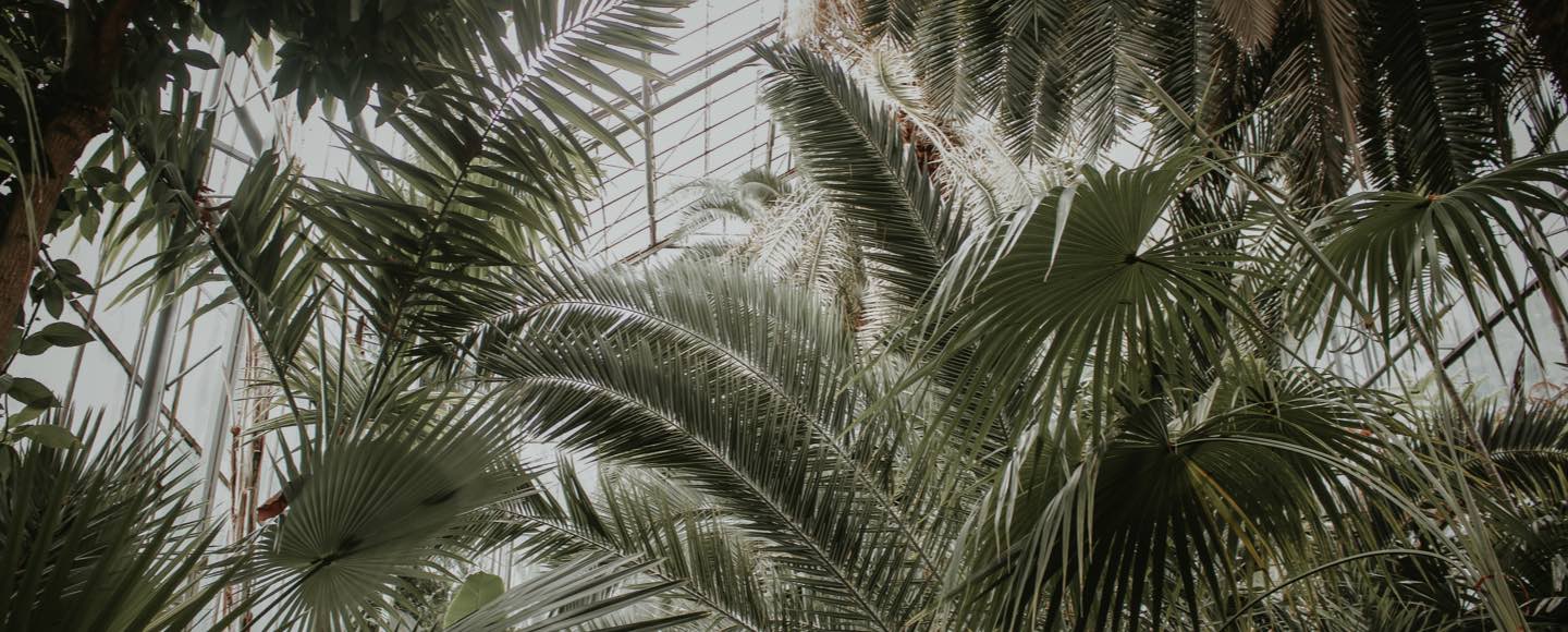 Tienda - High Connection